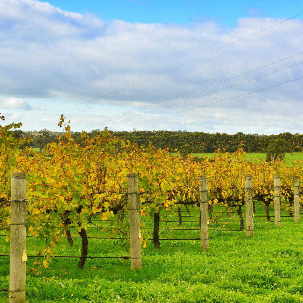 Hydrorock - The Green Label in Water Management